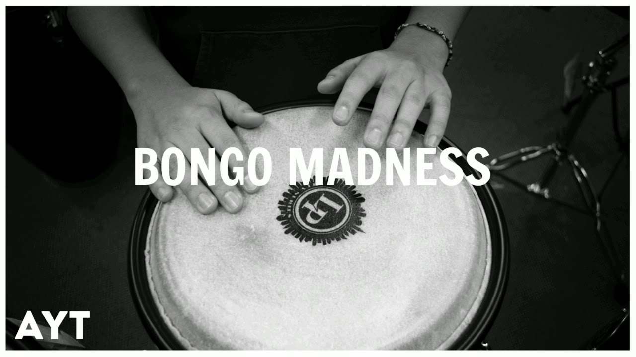 Bongo Madness - AudioTube [No Copyright Music] - YouTube