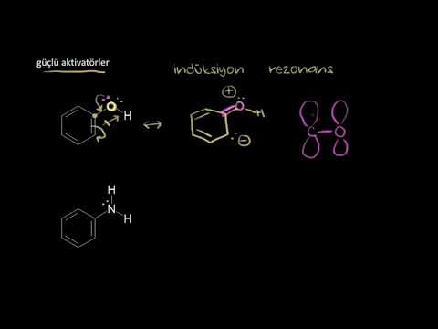 Orto-Para Yönlendiriciler: 2 (Fen Bilimleri) (Organik Kimya)