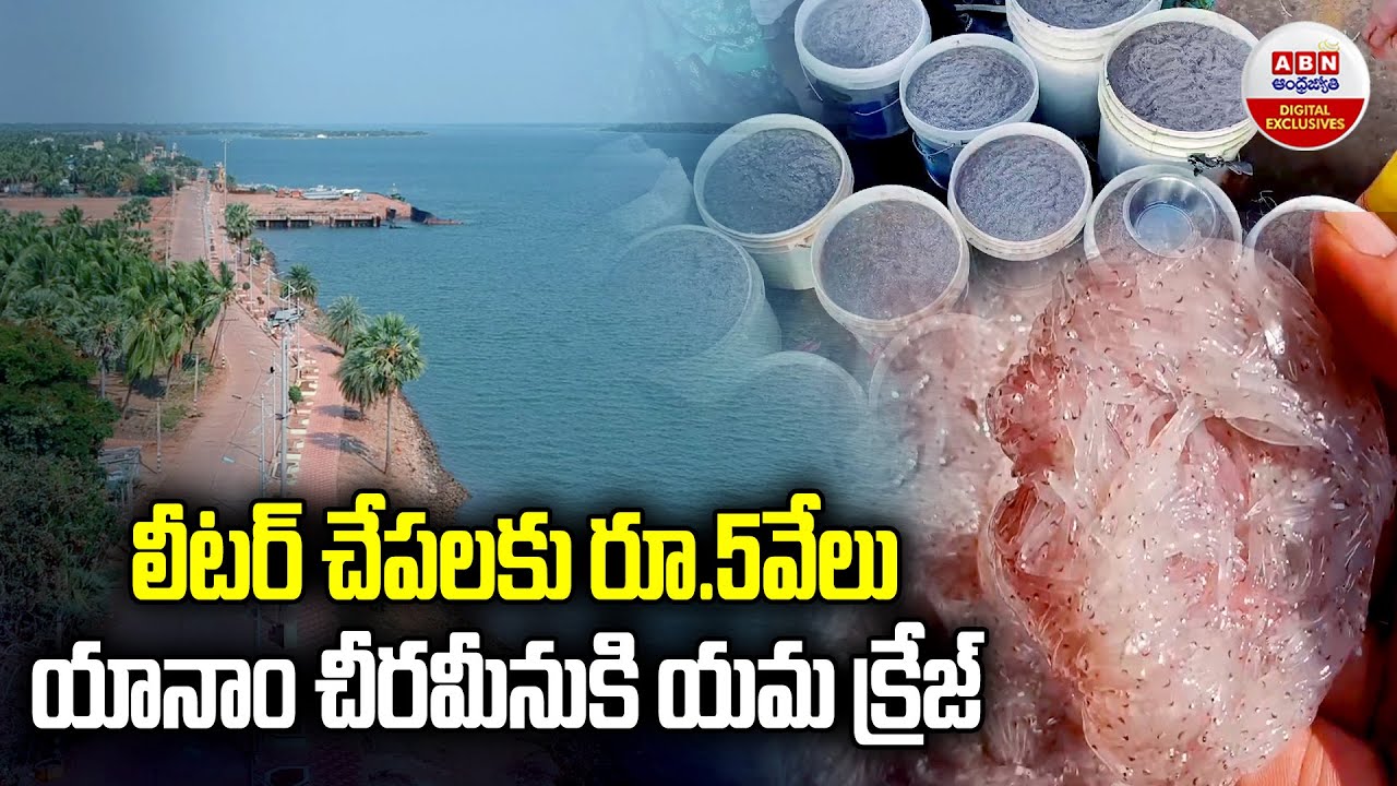 లీటర్ చేపలకు రూ.5 వేలు | Yanam Cheeramenu Fish Craze In East Godavari ...