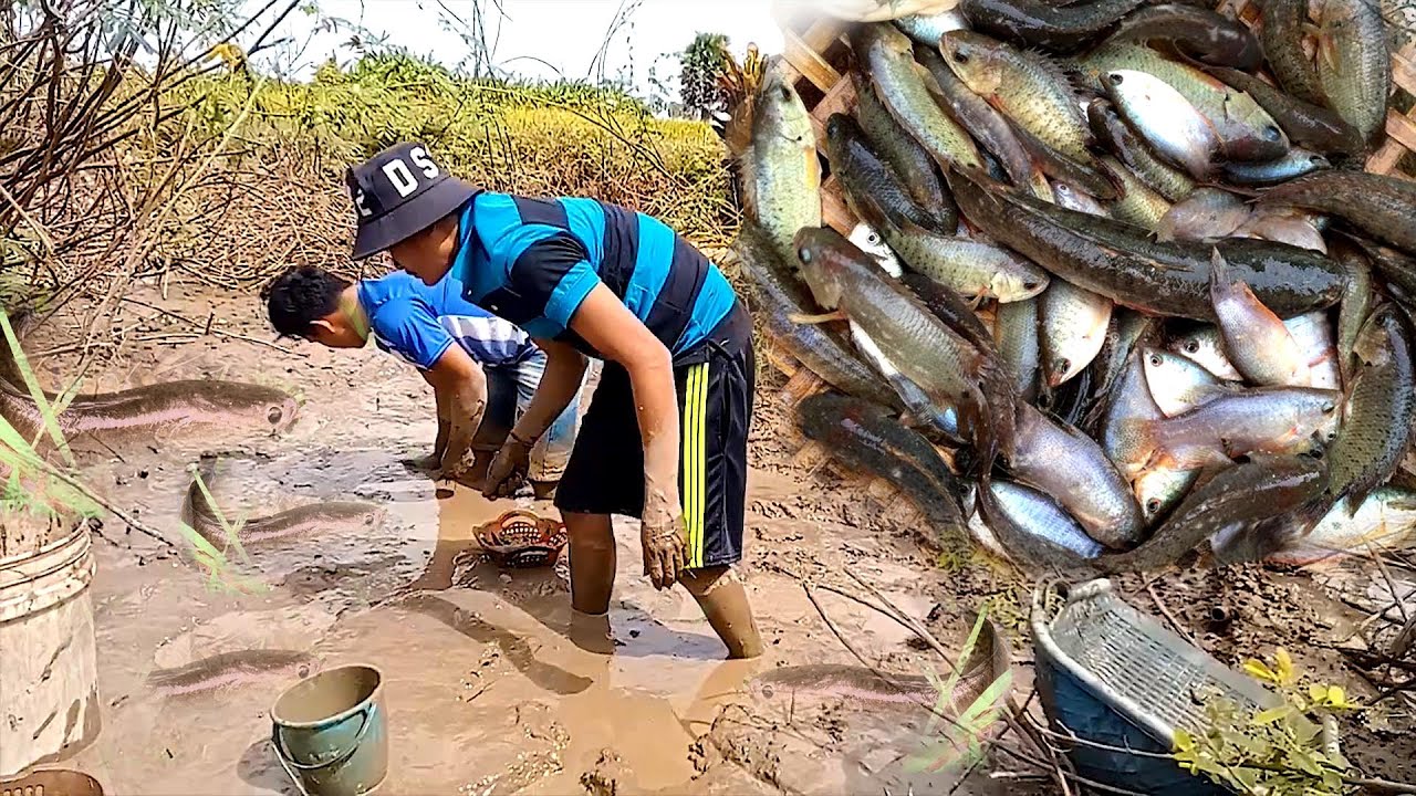 ចាប់ត្រីស្រែ, Village fishing real life- Fishing VLOG EP09 - YouTube