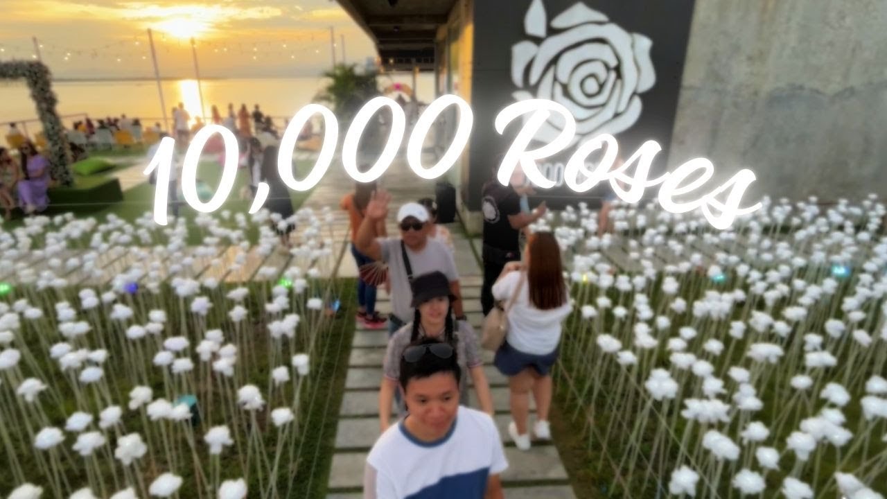 10,000 Roses Cafe | Cebu - YouTube