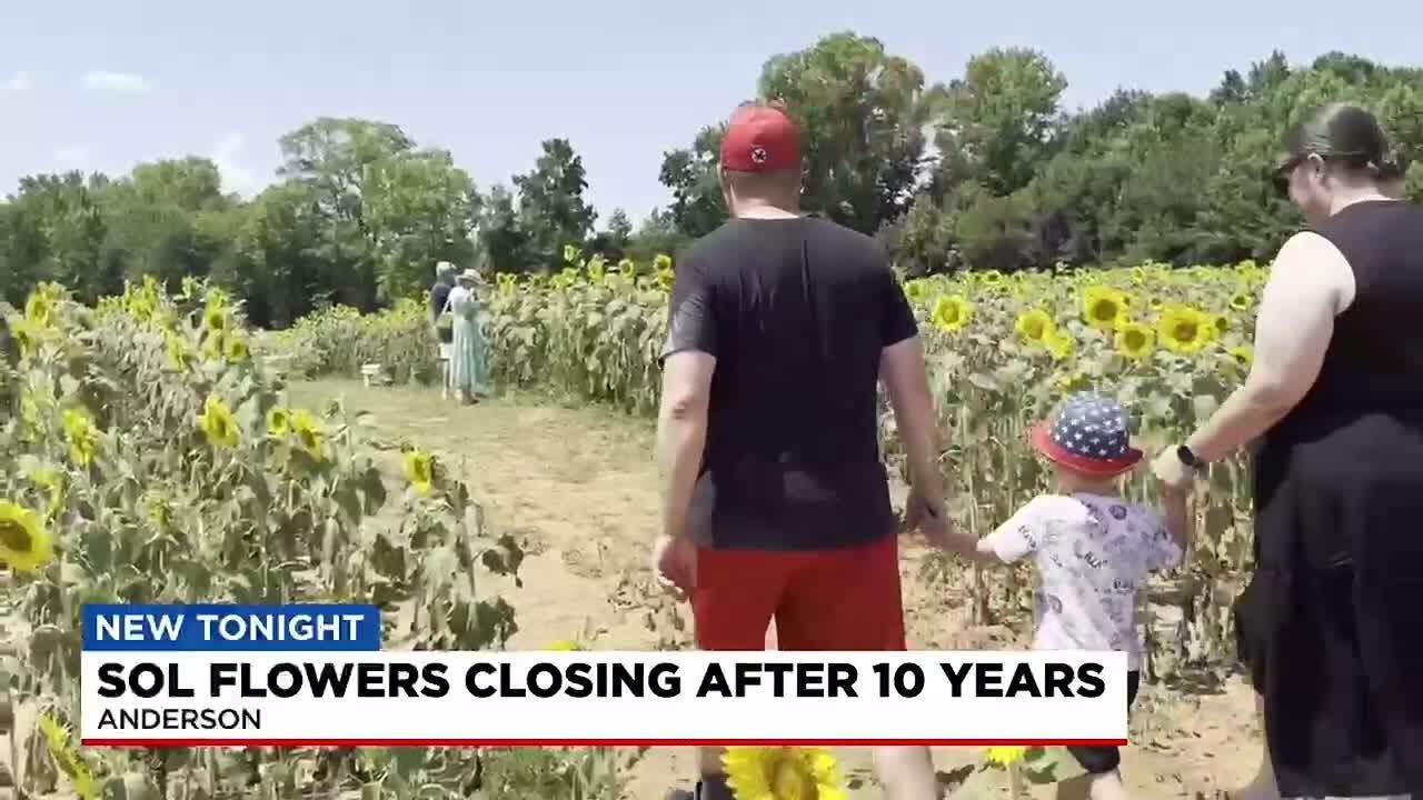Sol Flowers closes after 10 years of business - YouTube