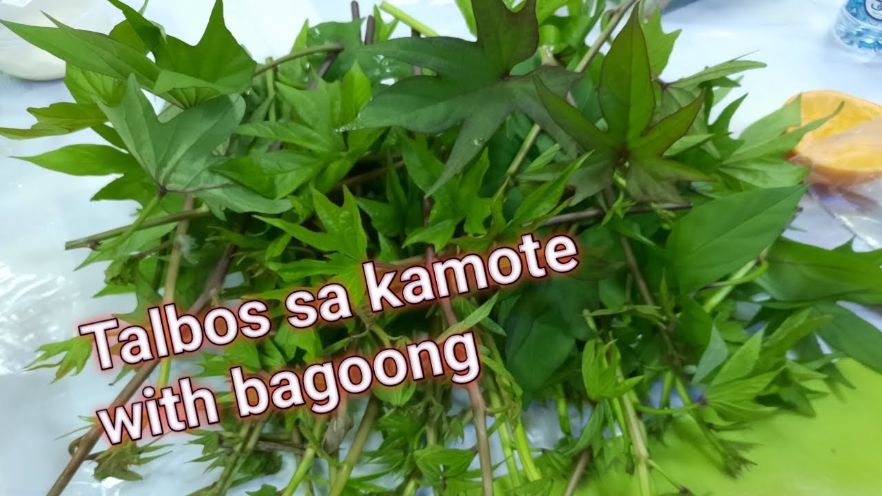 Talbos kamote with bagoong - YouTube