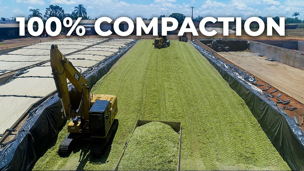 8,500 TONS OF PACKED SILAGE: HOW TO PRODUCE HIGH-QUALITY FORAGE ...