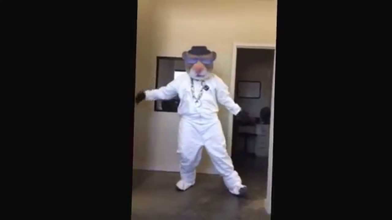 WALTER WHITE GANGSTER HAMSTER TEACH ME HOW TO DOUGIE - YouTube