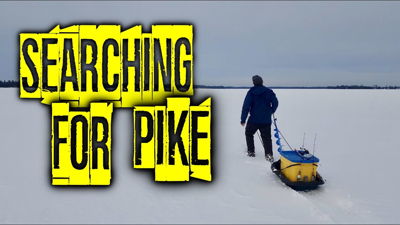 The Scout - Preparing for an ice fishing derby on Varty Lake finding ...