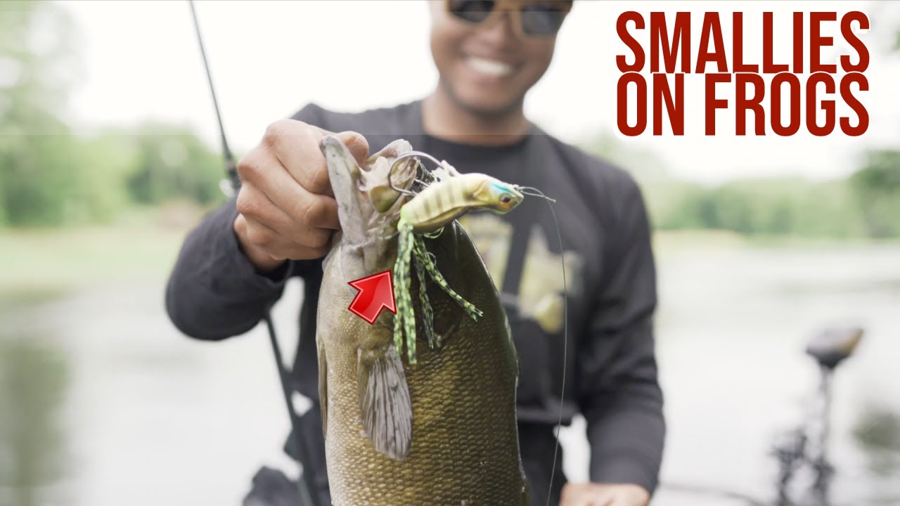 River Frog Fishing for Smallmouth Bass in Minnesota - YouTube