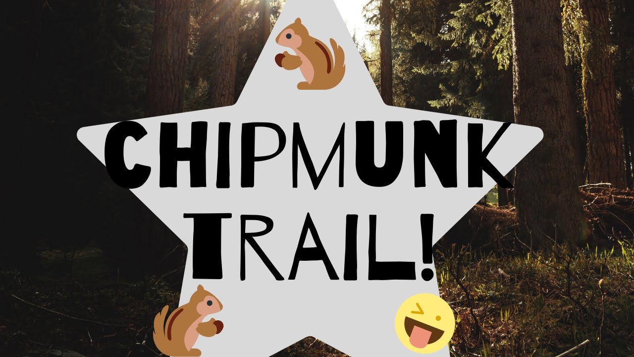 Chipmunk Trail (Geocaching) - YouTube