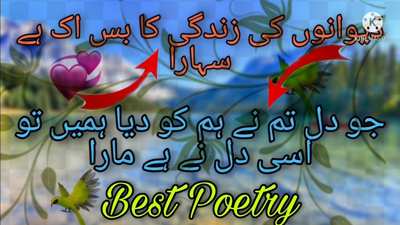 || All Best Poetryes You Never Listen in Urdu || MasterMinds Poetry ...