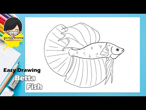 Easy Betta Fish Drawing - YouTube