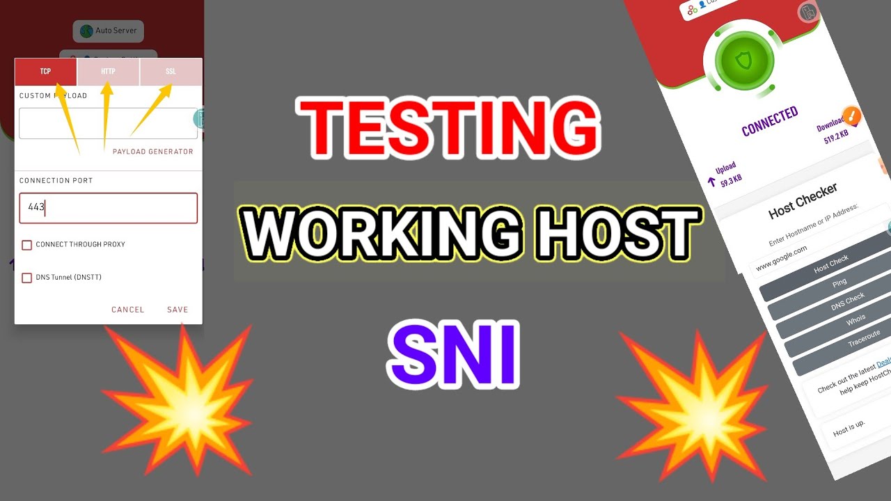 How to test a working bug host | SNI | Server Name Indication | Testing ...