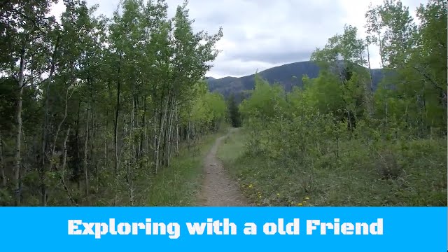 Lots of Fresh Poop on the Trails - YouTube