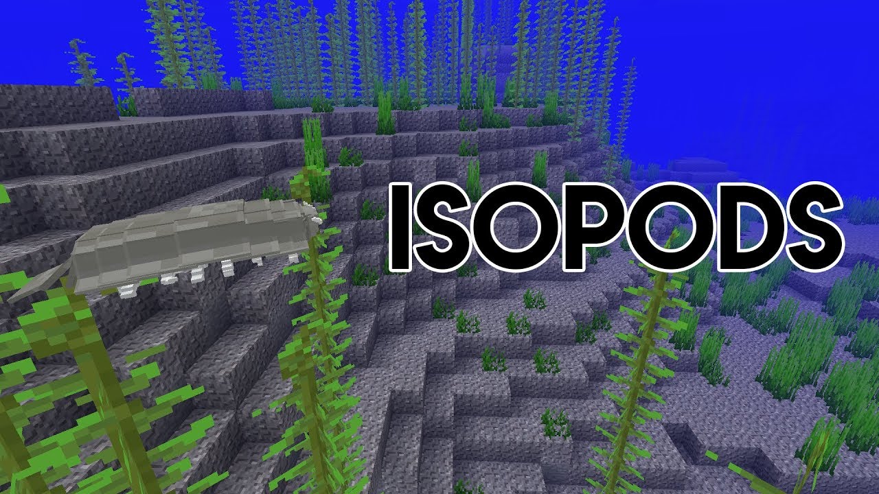 Isopods in vanilla Minecraft 1.13 - YouTube