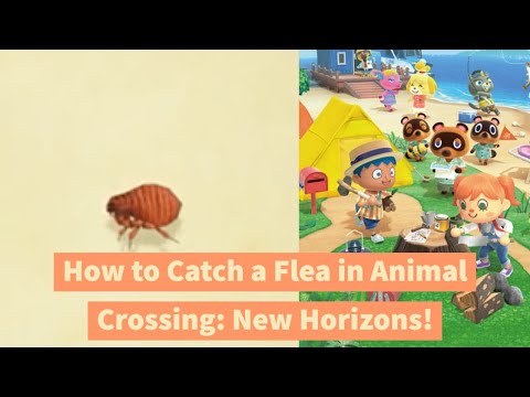 How To Make Fleas Spawn Acnh