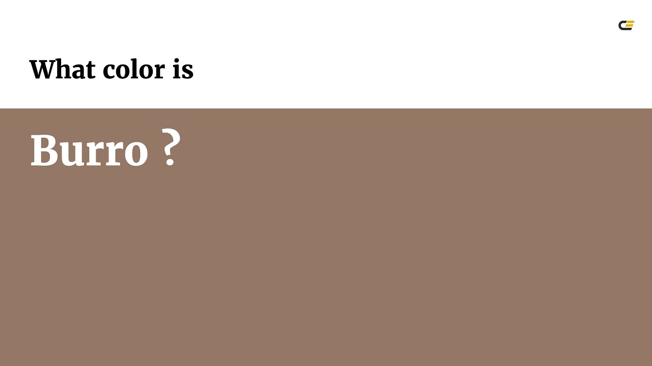 Burro color #947764 hex color - Brown color - Cool color 947764 - YouTube