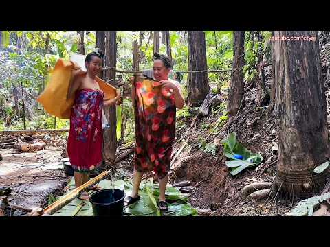 Mus Nrhiav Noj Los Da Dej