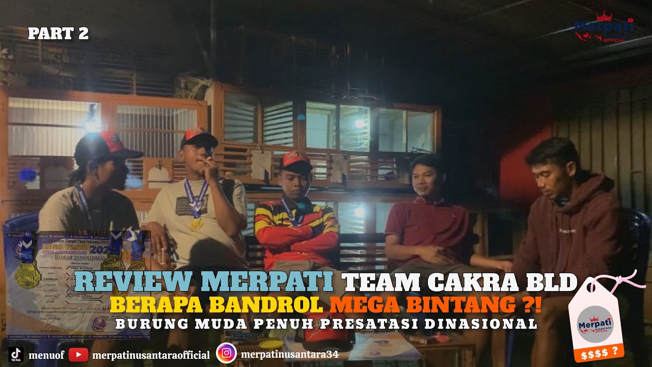 PART 2 BURUNG MUDA ANCAMAN NASIONAL, BANDROL MEGA BINTANG CAKRA BLD ...