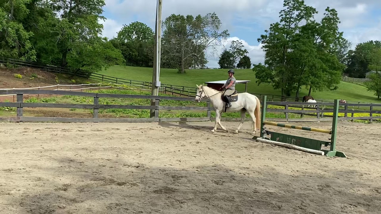 Megan Coppage on Performing Art- Hunter under saddle W/T/C - YouTube