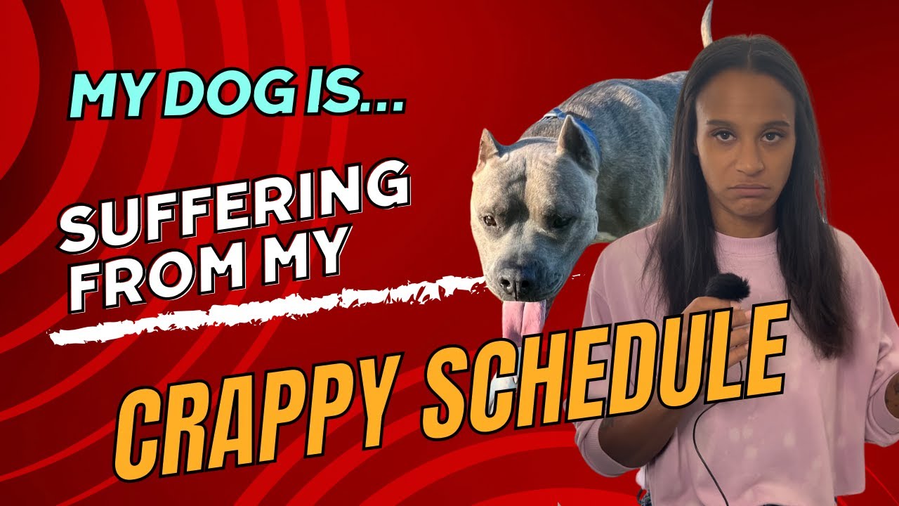 My dog is suffering from MY crappy schedule! - YouTube