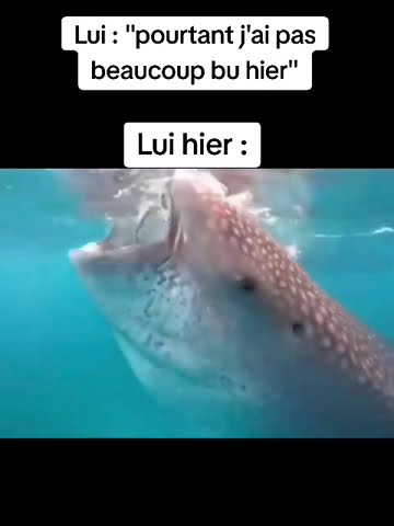 L'ami qui a trop bu mdr #boire #videodrole #videomarrante #comedie # ...