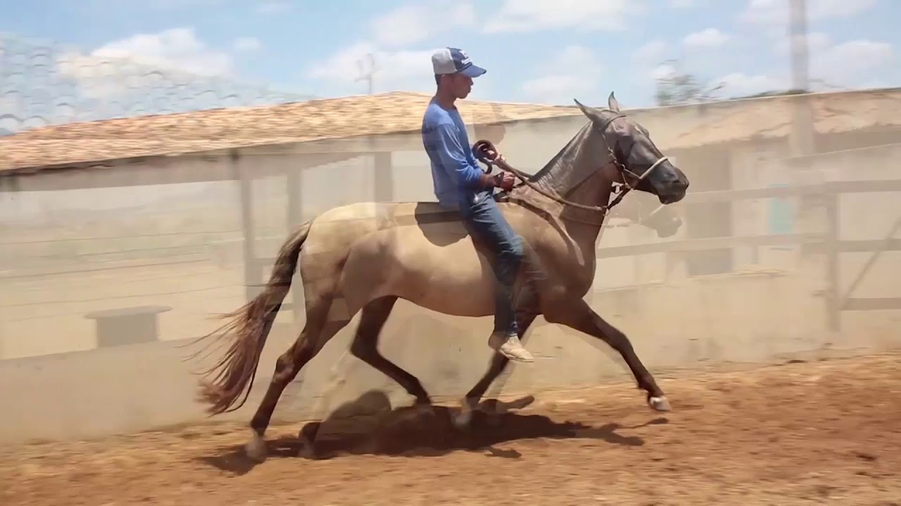 INVICTA DO VOLTA 50% - YouTube