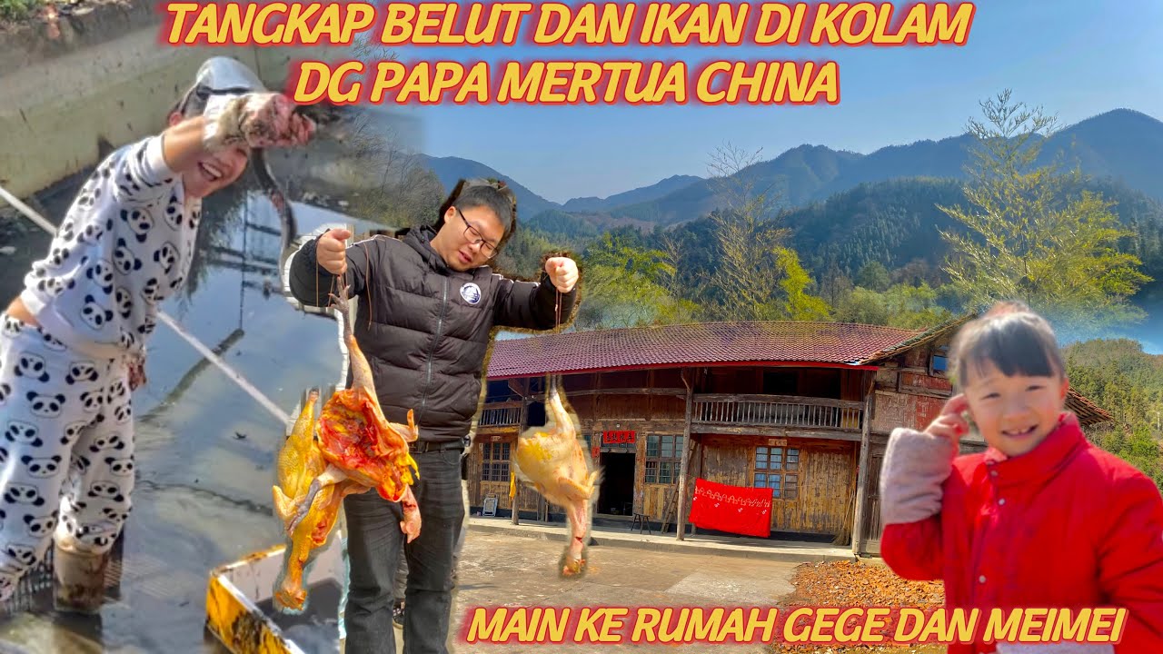 TANGKAP BELUT DI KAMPUNG CHINA JENGUK NENEK DAN GEGE DI ATAS RUMAH ...