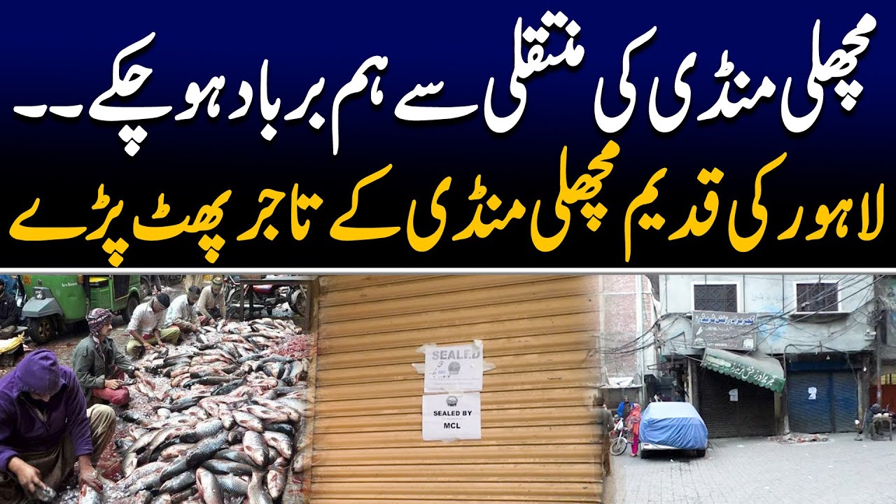 Fish market in Lahore Transferred to river ravi | raho machli sale in ...