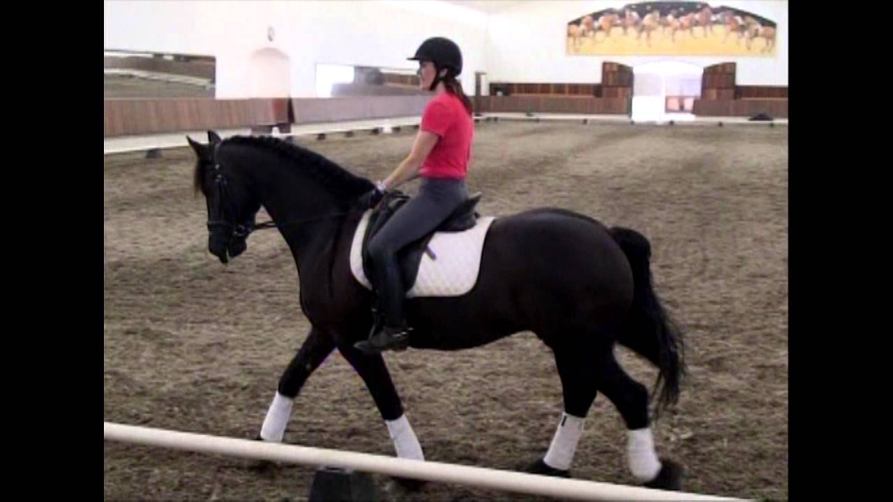 Lilo Fore Clinic, Lilo teaching Sue and Hindrik Sept 29, 2012 - YouTube