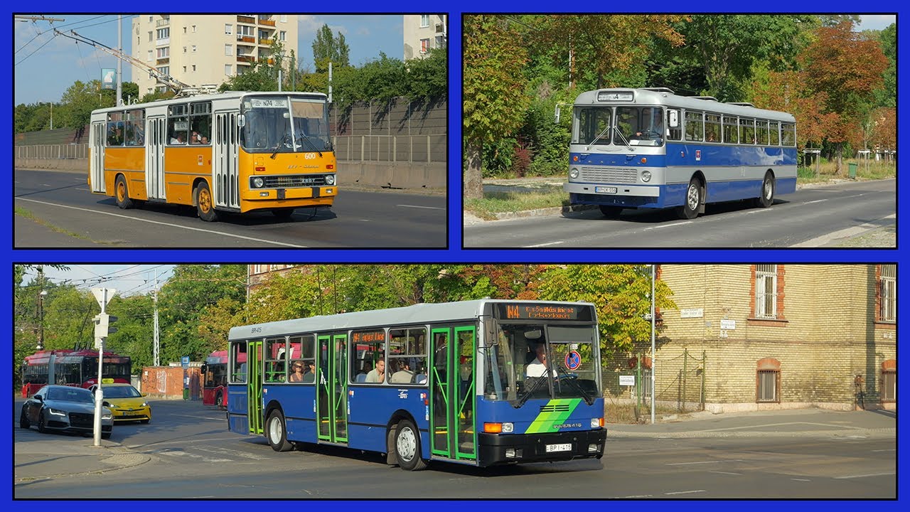 Ikarus 556, Ikarus 260T, és Ikarus 415 nosztalgiabuszok Budapesten ...