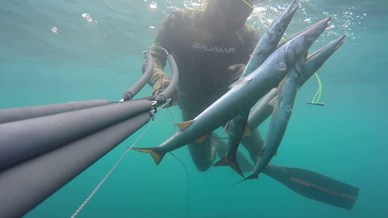 Spearfishing North Africa Metline Bizerte 2020 - YouTube