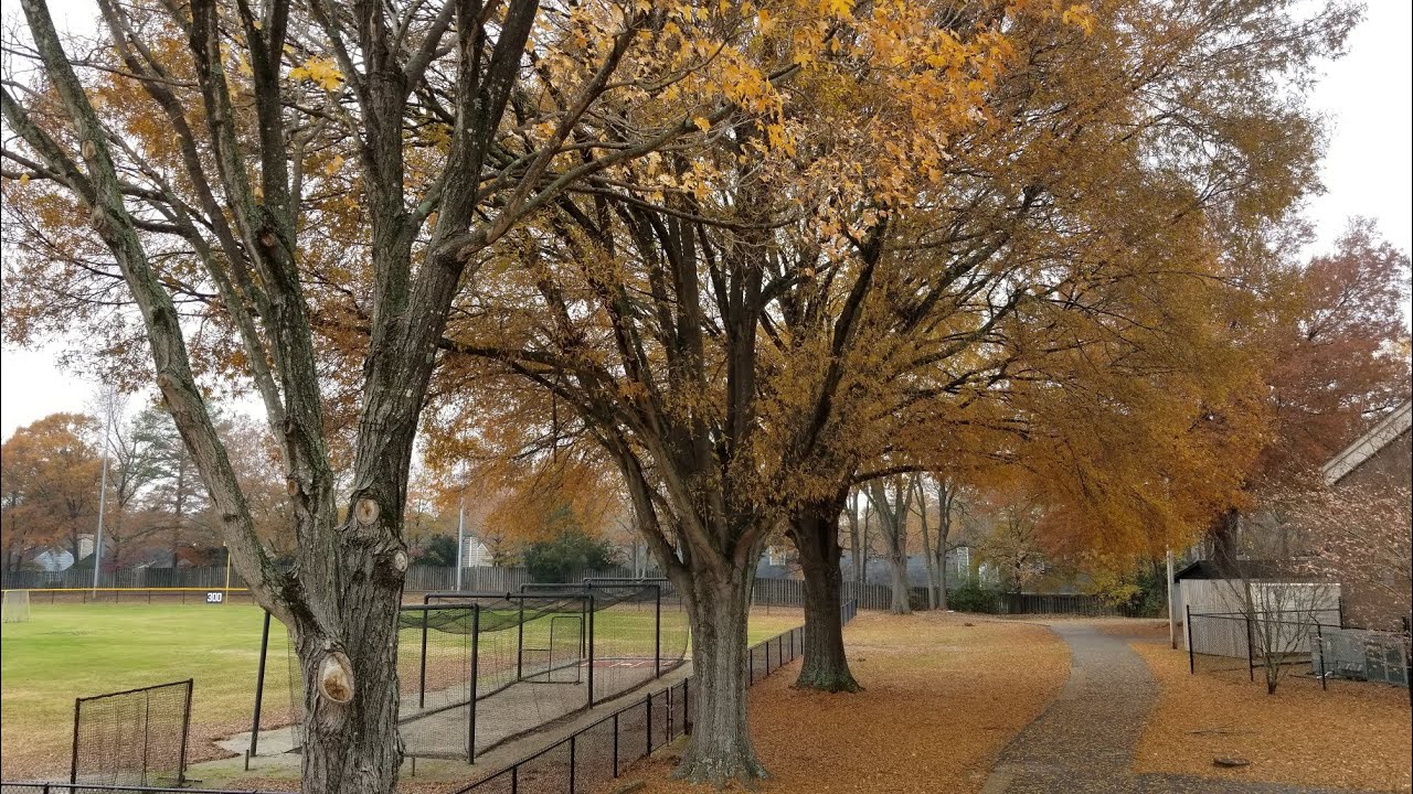 NATEDOG shows you Mauldin Park - YouTube