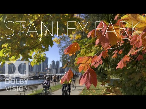 Stanley Park Fall Foliage Autumn Colors | Vancouver Canada 4K Sep 30 ...