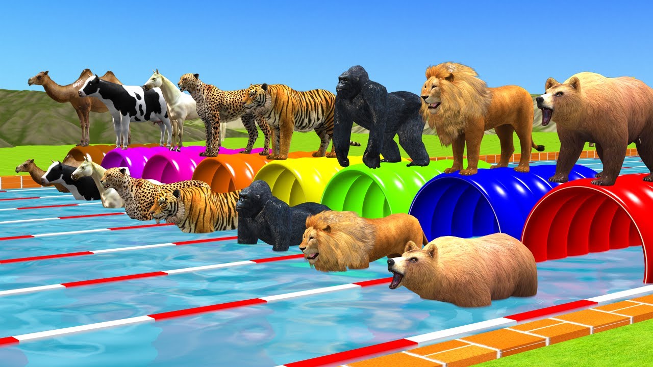 Wild Animals Game Swimming Pool Race Challenge with Cow Elephant Horse ...