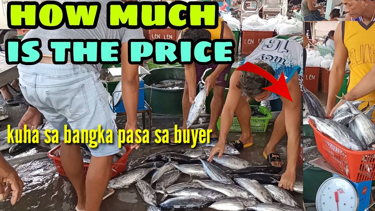 magkano ngaba Ang prisyo Ng tulingan at YElOWPEN TUNA sa port of ...