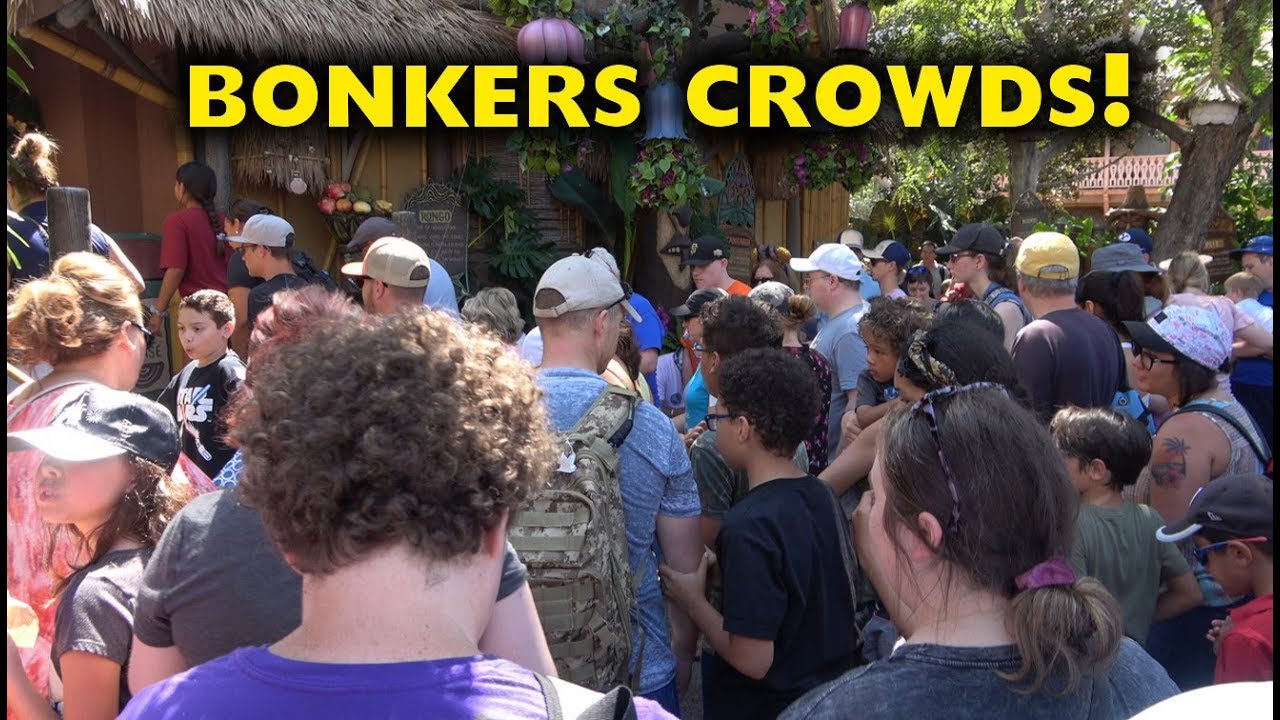 On the hunt for Disneyland Food and Treats on a Bonkers day ...