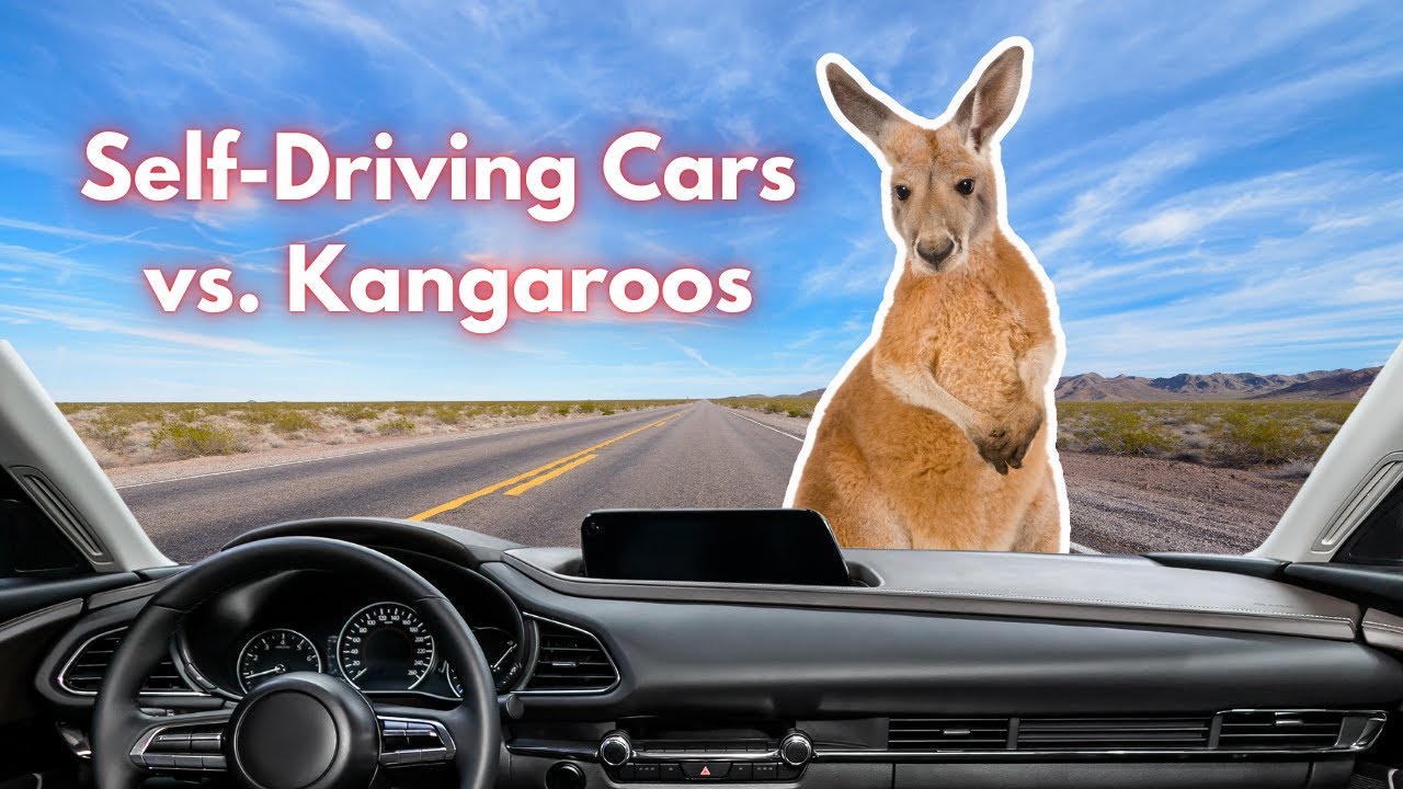 Self Driving Cars vs Kangaroos - YouTube