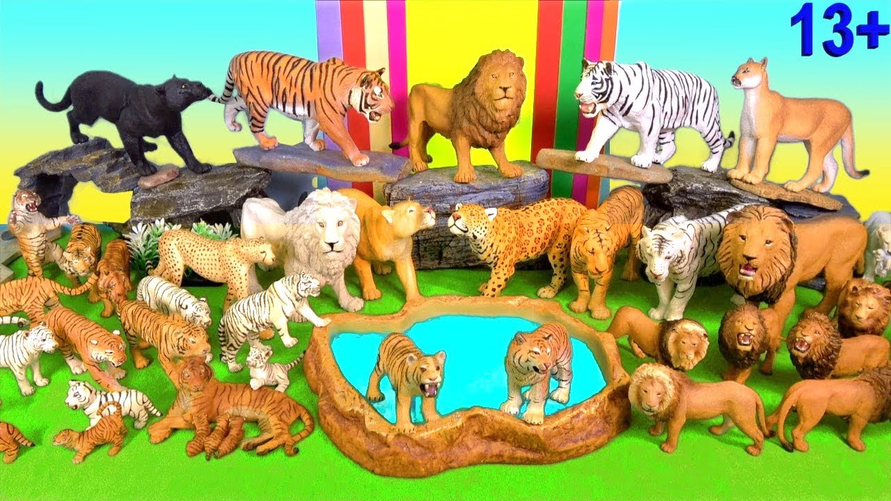 Big Cat Week 2020 Lions Tigers White Lion White Tiger Cheetah Jaguar ...