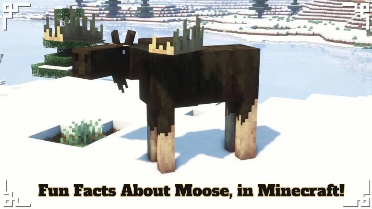Fun Facts About Moose, In Minecraft! - YouTube