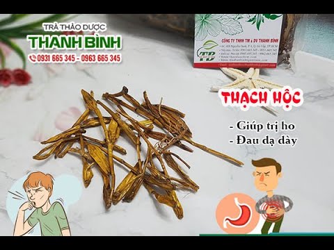 Thạch Hộc | Công dụng của thạch hộc - YouTube