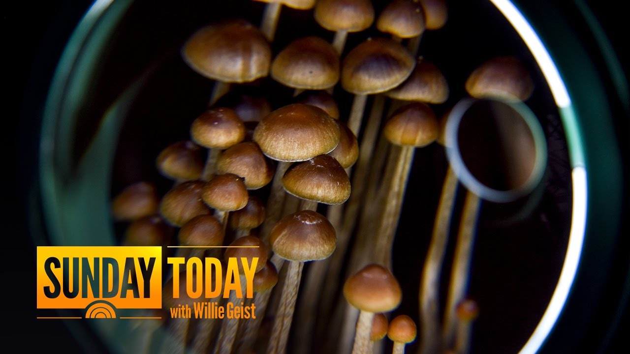 Psychedelic Mushrooms Being Used To Help People Fight Addiction - YouTube