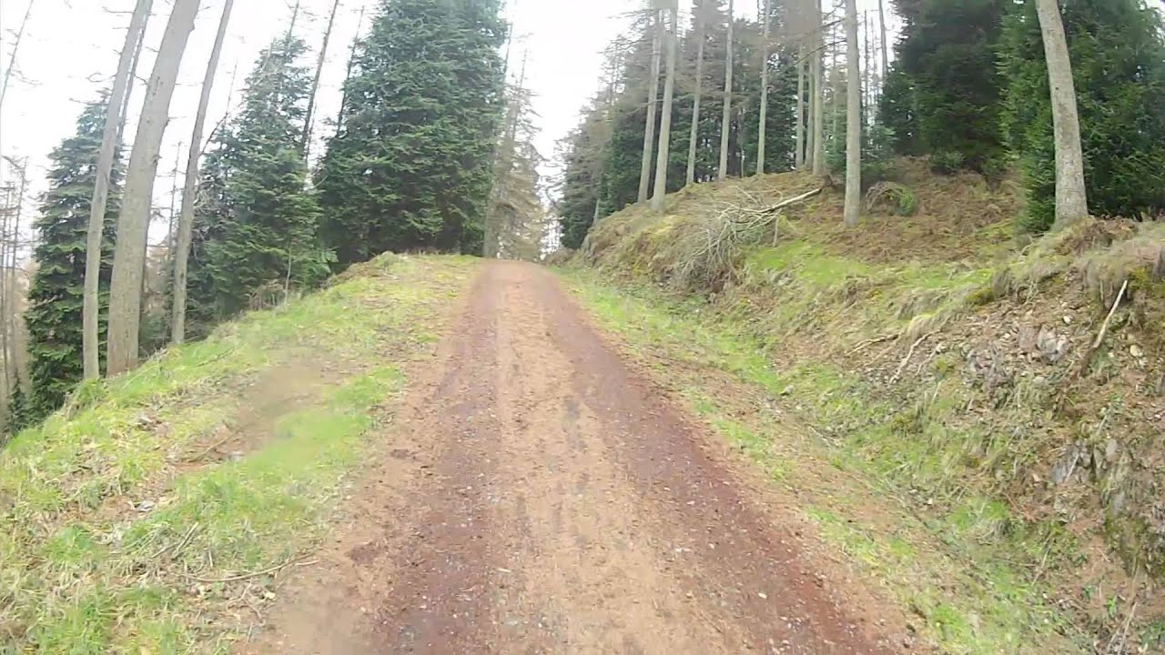 Larch Hill Fireroad - YouTube
