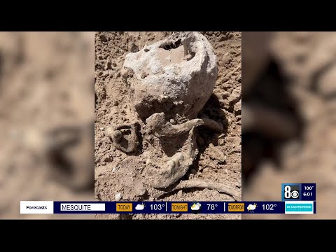 „Das ist ein Volltreffer“: Mann aus Las Vegas überzeugt, dass Überreste aus dem Lake Mead sein Va...