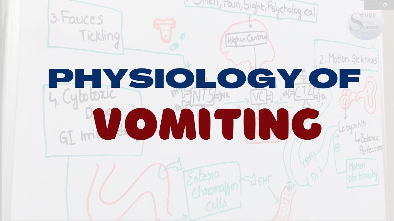 PHYSIOLOGY OF VOMITING ||VOMITING|| PHYSIOLOGY - YouTube