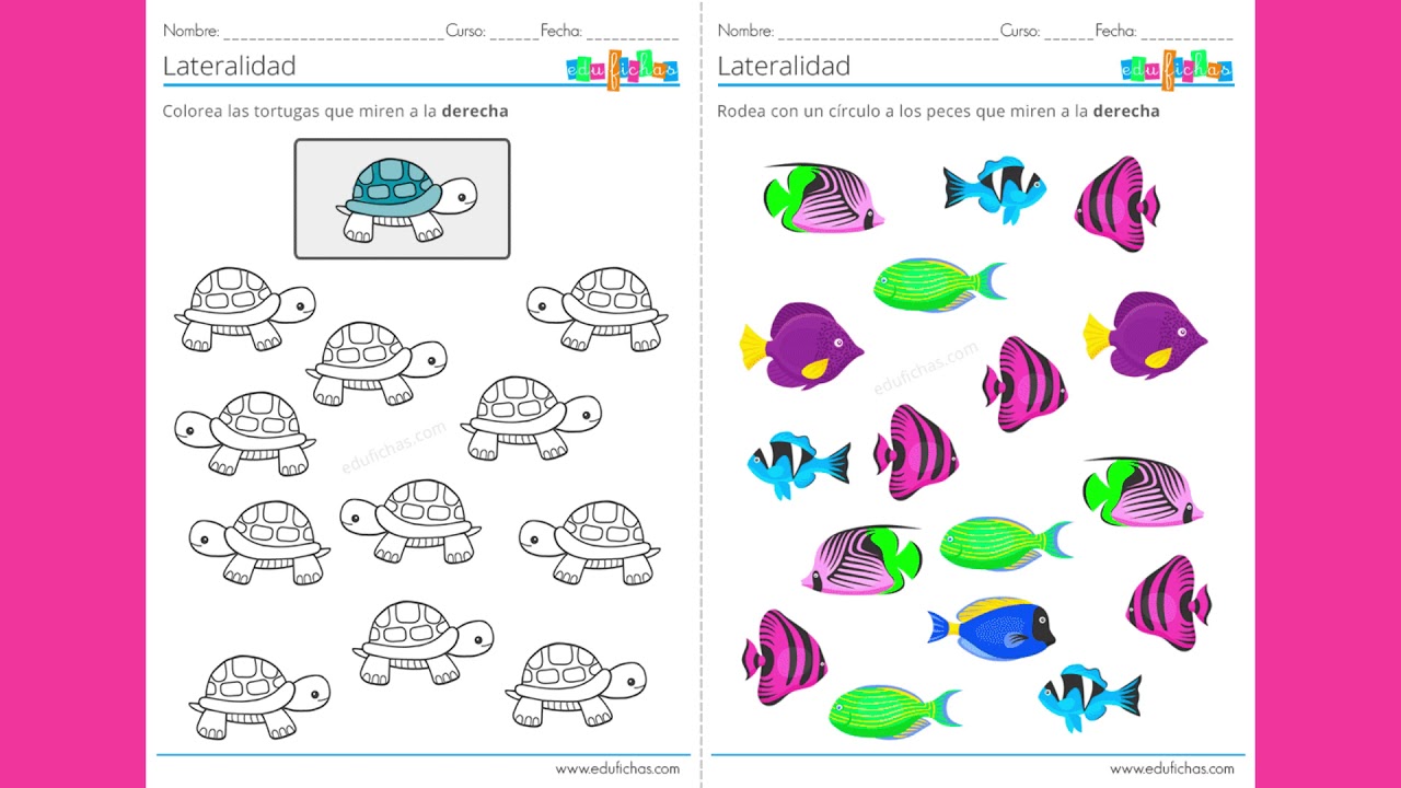 Lateralidad para niños - YouTube