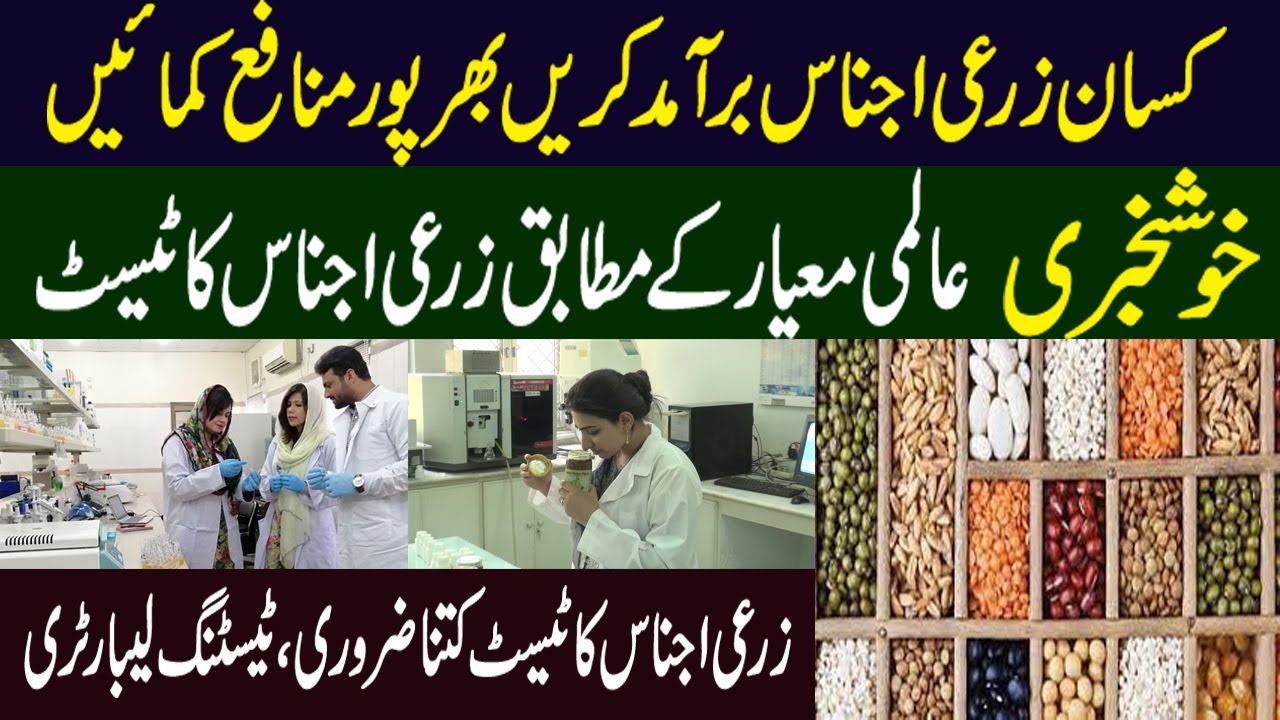 Grain Quality Testing Lab | Grain - Food Safety Lab || - YouTube