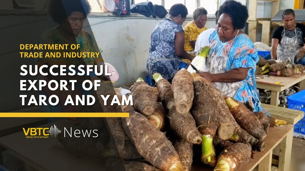 Successful Export of Taro and Yam | VBTC News - YouTube