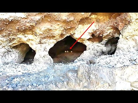 In 1909 This Explorer Revealed They Found Egyptian Artifacts Deep ...