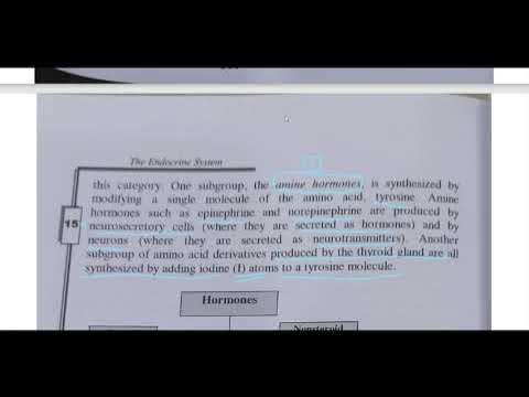 Endocrine system Introduction, part 1 - YouTube