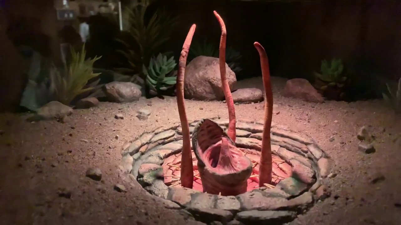 Disneyland | Star Wars Galaxy's Edge - Sarlacc Pit - 4K - YouTube