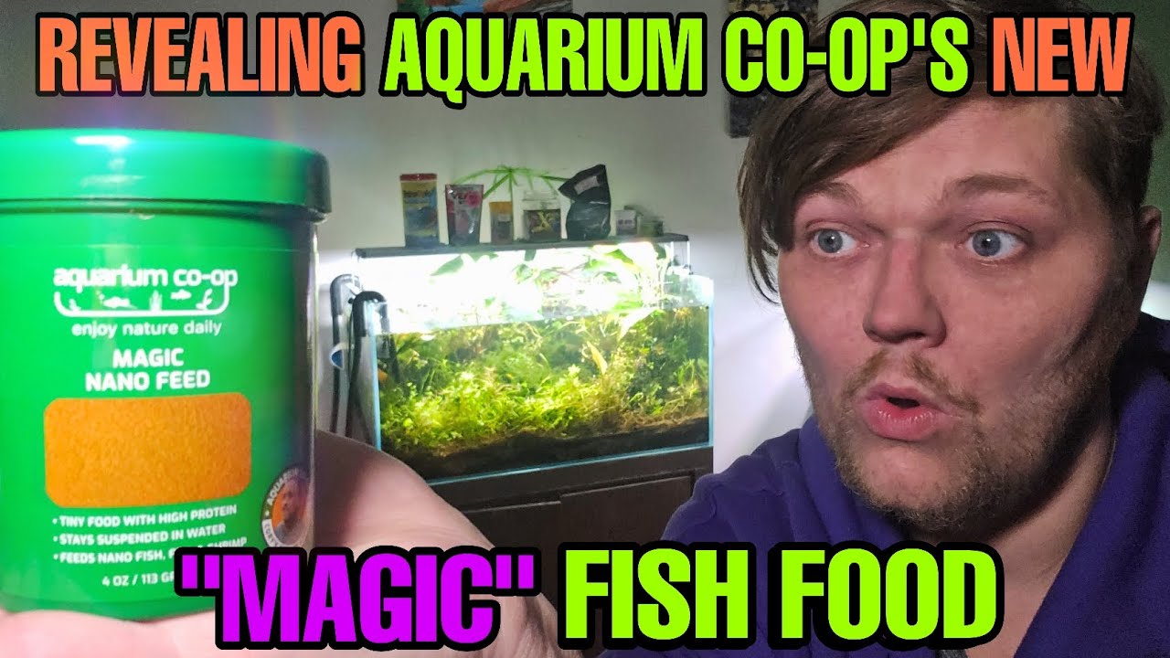 Revealing The "MAGIC" In Aquarium Co-op's NEW Floating "Magic" Nano ...